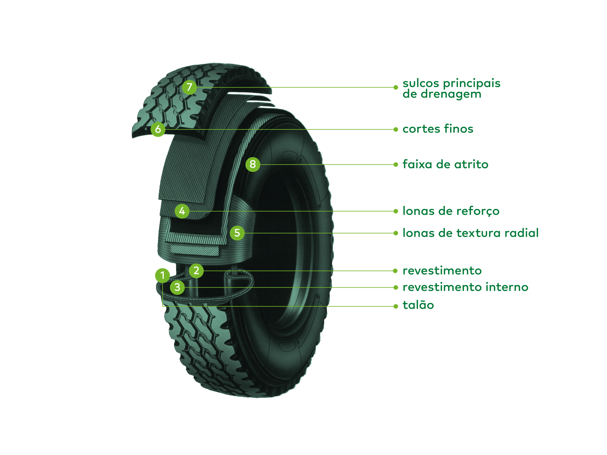 Componentes e Caraterísticas de um Pneu – ValorPneu